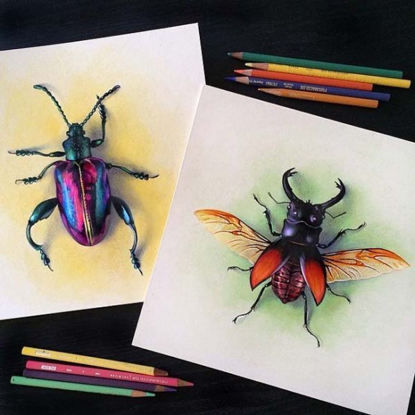 Vibrant Pencil Drawings Full With Colors