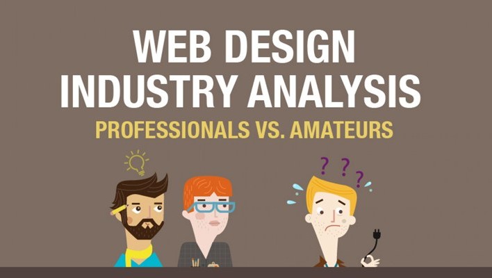 Web Design Industry Analysis/Professionals vs Amateurs