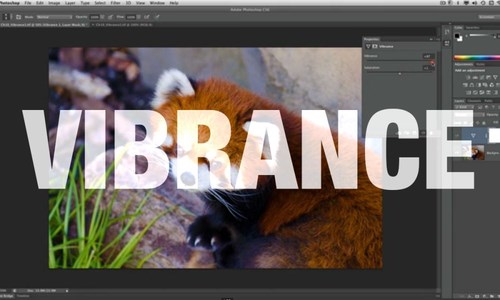 Quick Tips For Photo Editing And Why It Is Important