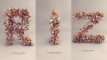 Sculptural Alphabet Typography by Alexis Persani