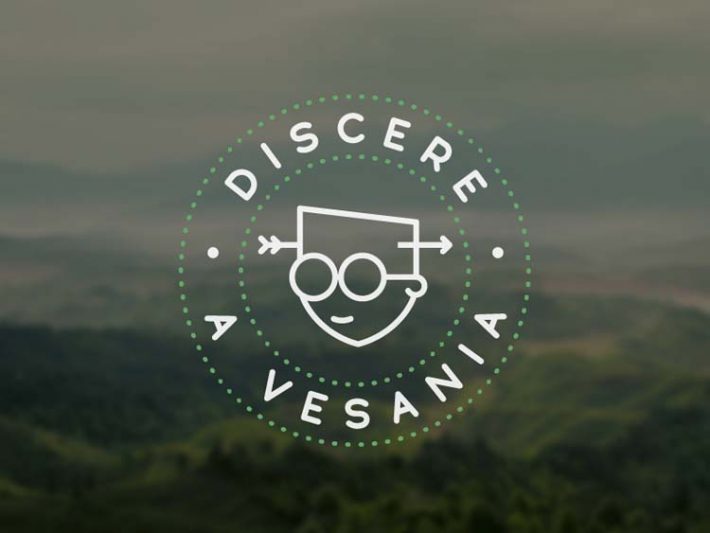 25 Creative Education Logo Examples for Inspiration