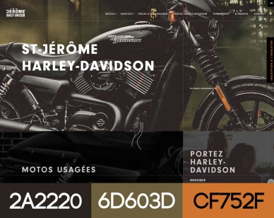 Modern Web Design with Color Schemes [2017 Website Designs]
