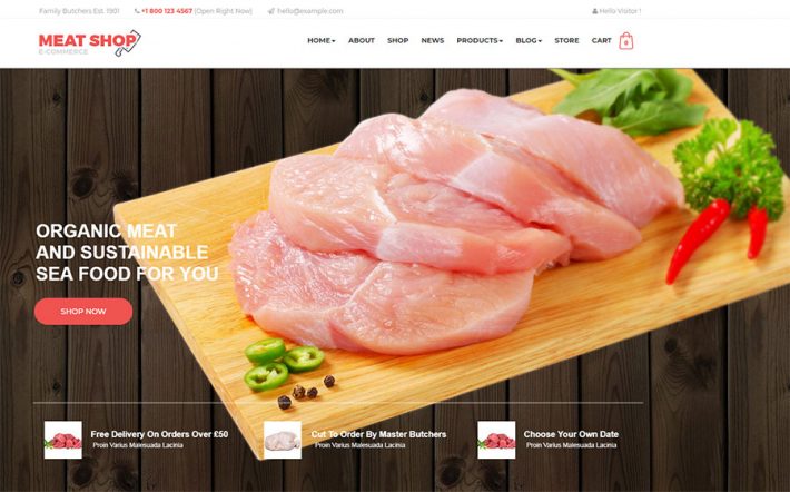 How To Choose The Best Food Web Template To Promote Your Business?