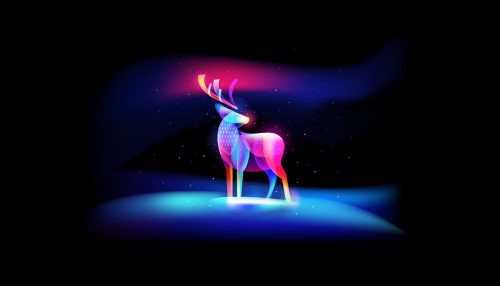 Beautiful Illustration Projects for Design Inspiration