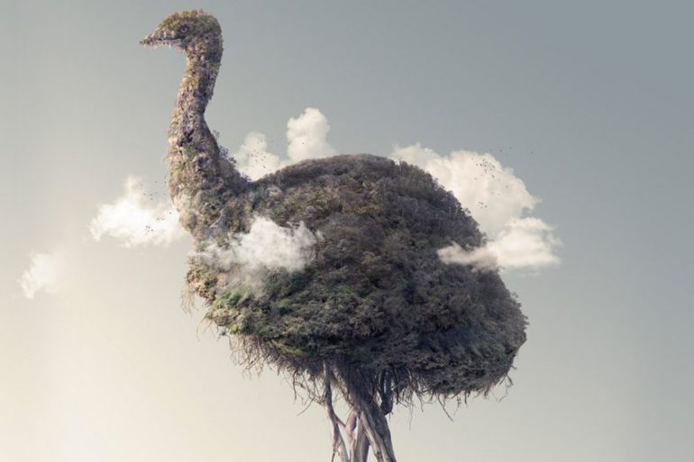 Amazing Photographic Illustrations by Josh Dykgraaf